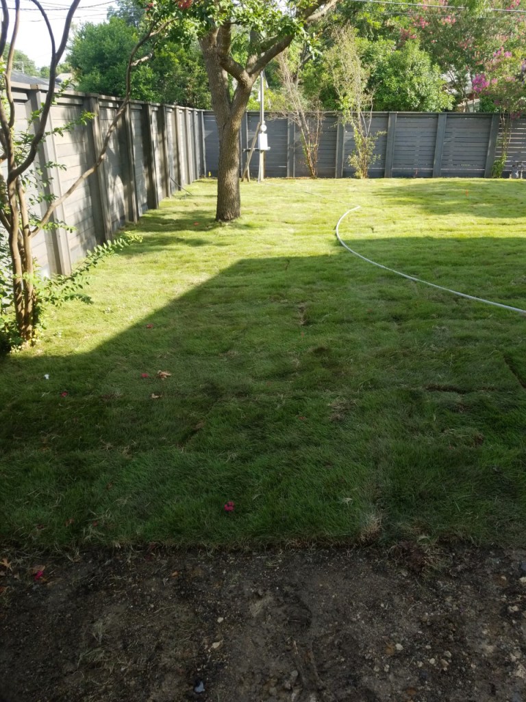 Gallery – Pro Tree Service